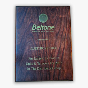 Quiénes Somos, explora mas de nosotros | Auditron Chile